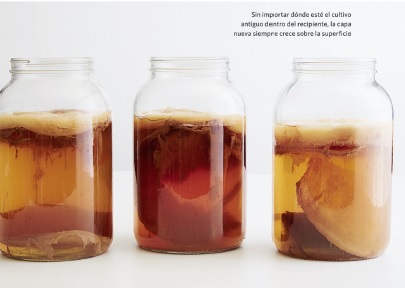 Llegó El gran libro de la kombucha de Hannah Crum y Alex LaGory – Blog ...
